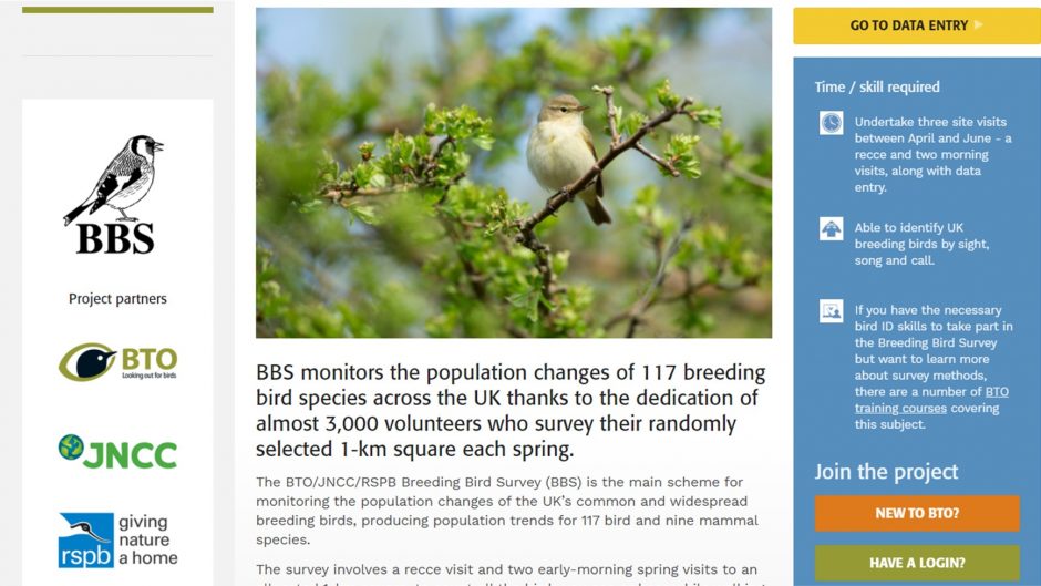 Citizen Science: Bird surveys – MissTao.com